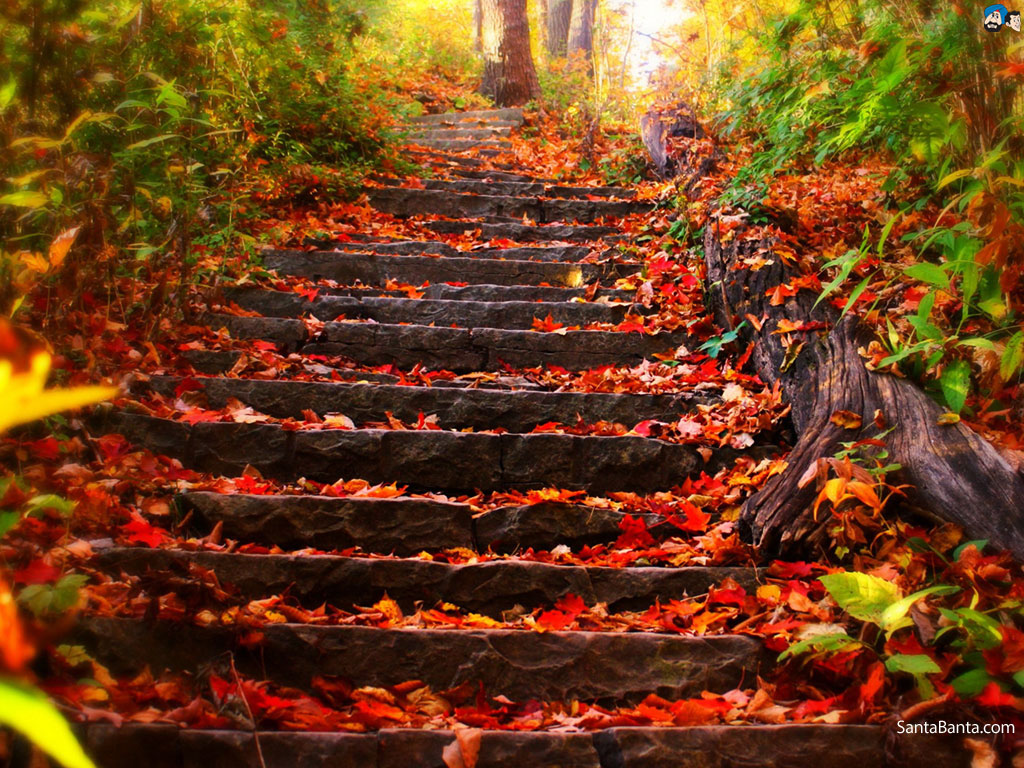 PFTW: Autumn