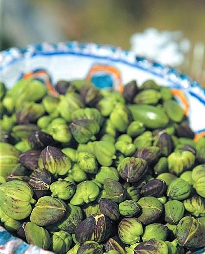 PFTW: Italy Food (page 2)